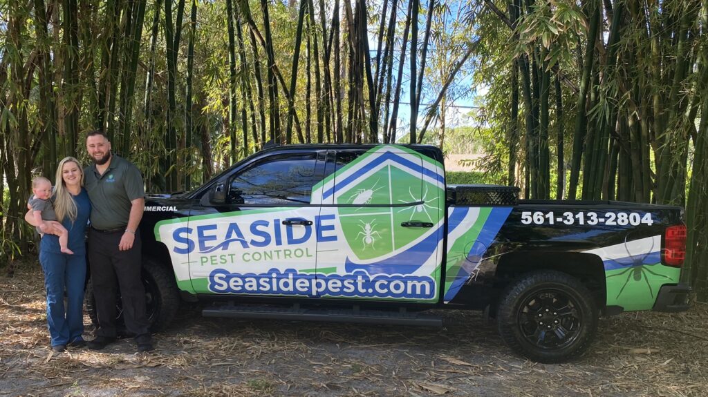 About - Seaside Pest